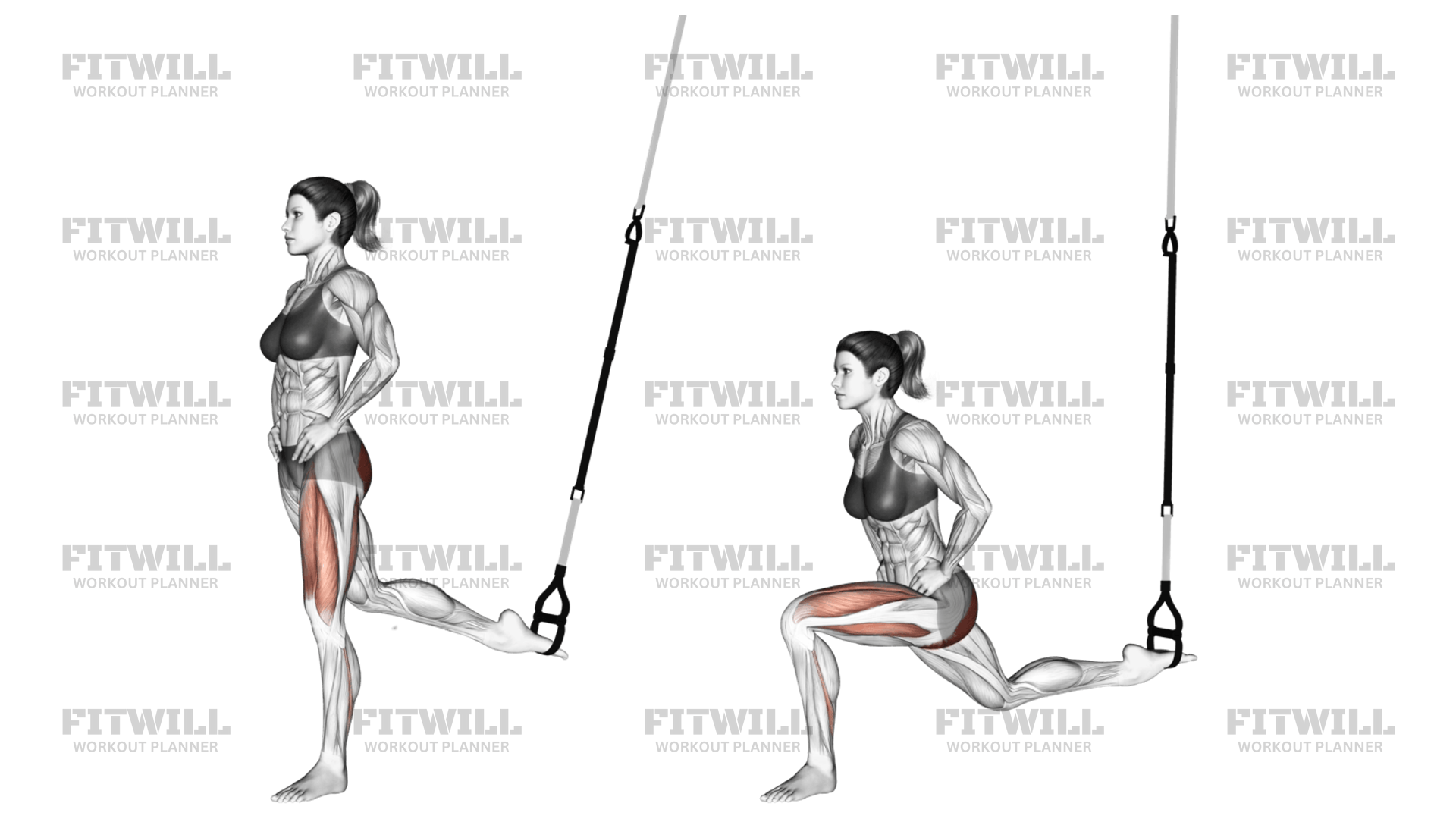 Suspension Single Leg Split Squat Exercise Guide Video Techniques Benefits How To Muscles