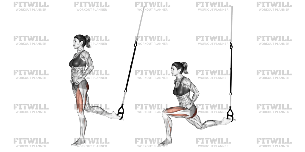 Suspension Single Leg Split Squat: Exercise Guide, Video, Techniques ...