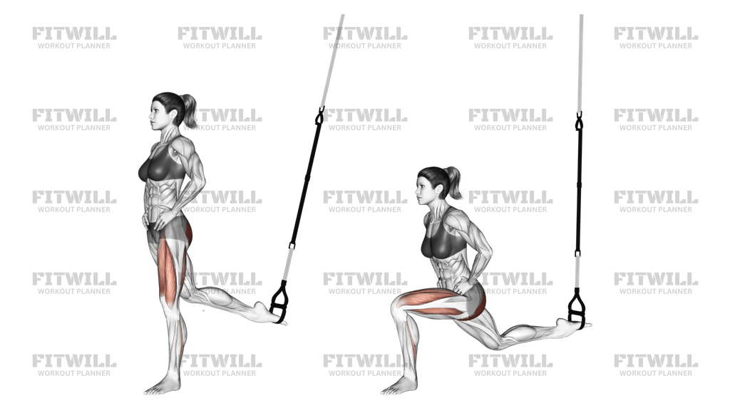 Suspension Single Leg Split Squat: Exercise Guide, Video, Techniques ...