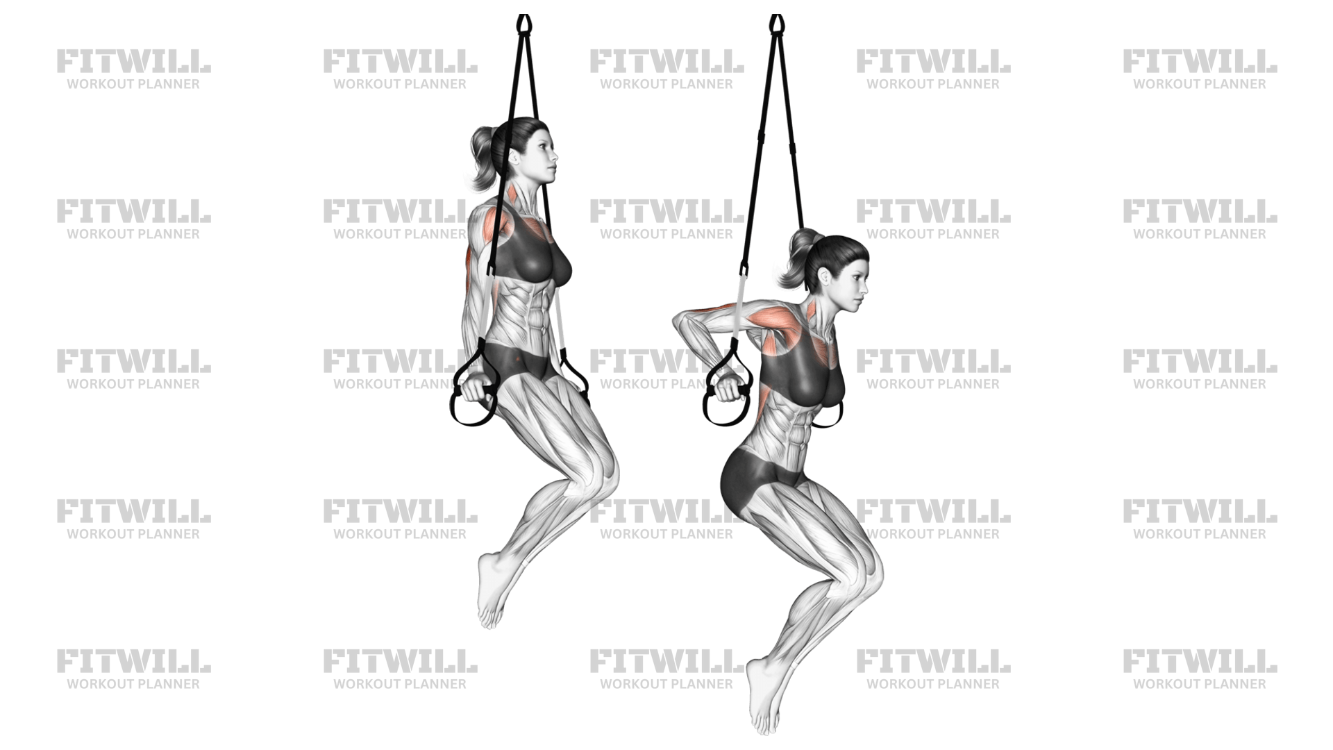 Suspension Triceps Dip: Exercise Guide, Techniques, Benefits, How to ...