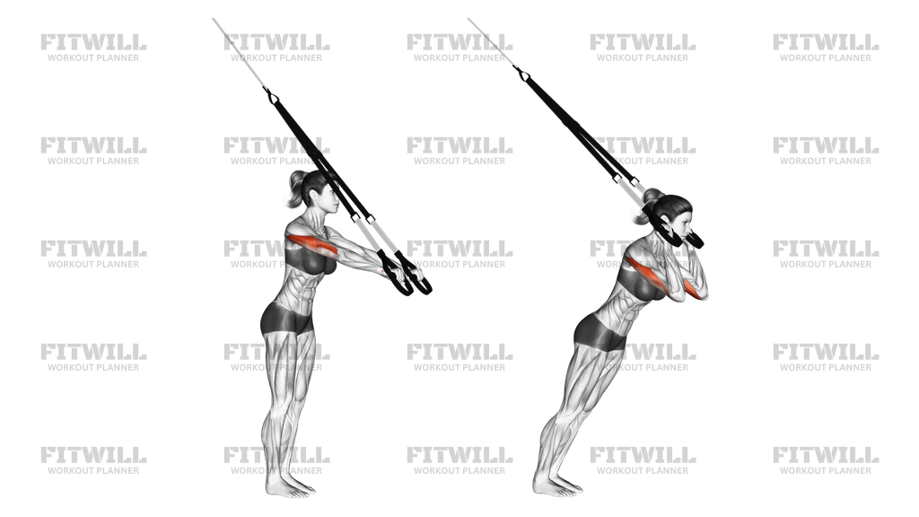 Suspension Triceps Extension: Exercise Guide, Video, Techniques ...