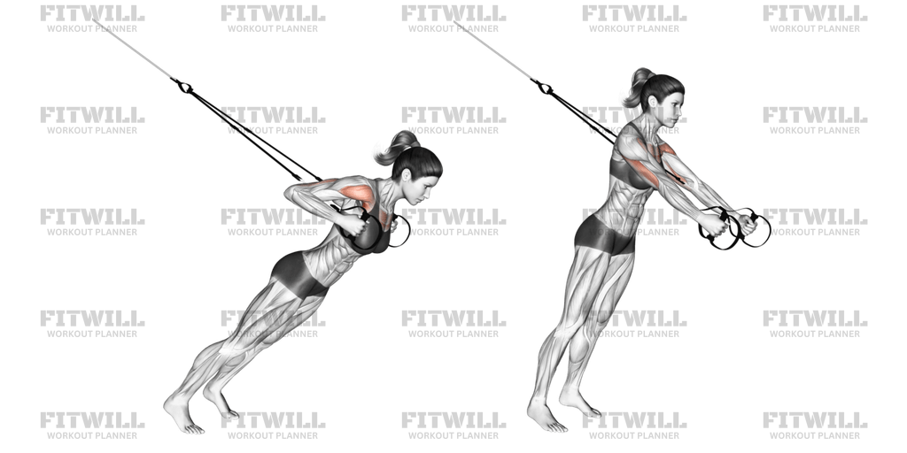 Suspension Close-grip Chest Press: Guide, Techniques, Benefits, How to ...