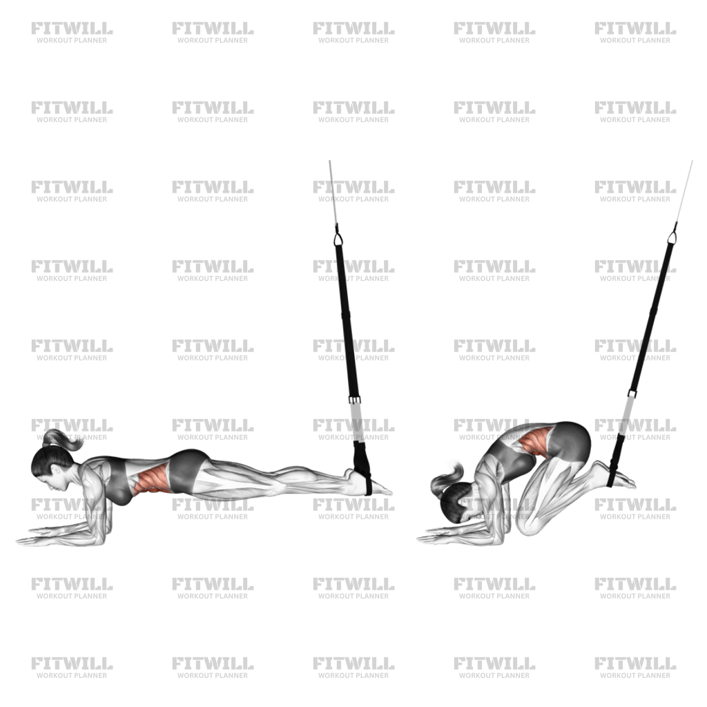 Suspension Crunch: Exercise Guide, Video, Techniques, Benefits, How to ...