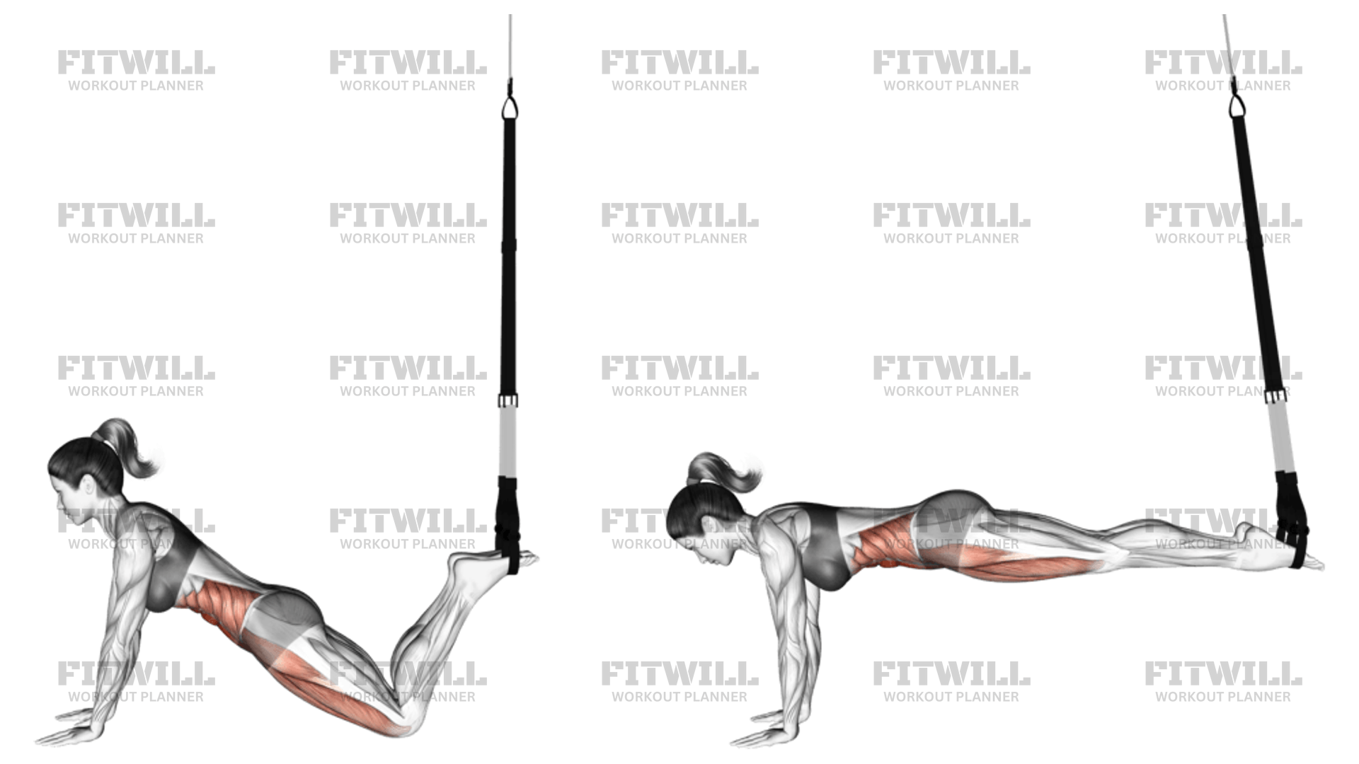 Suspension Front Plank: Exercise Guide, Video, Techniques, Benefits ...