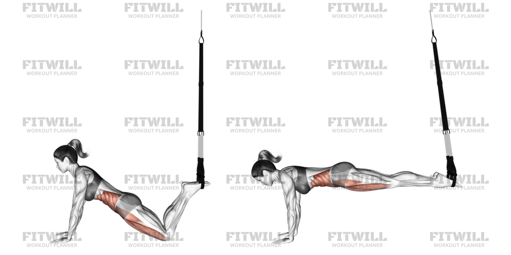 Suspension Front Plank: Exercise Guide, Video, Techniques, Benefits ...