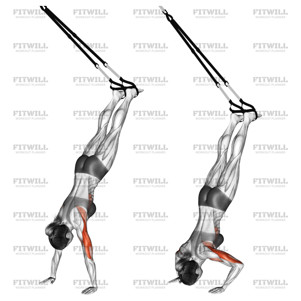 Suspension Handstand Push-up: Exercise Guide, Techniques, Benefits, How ...