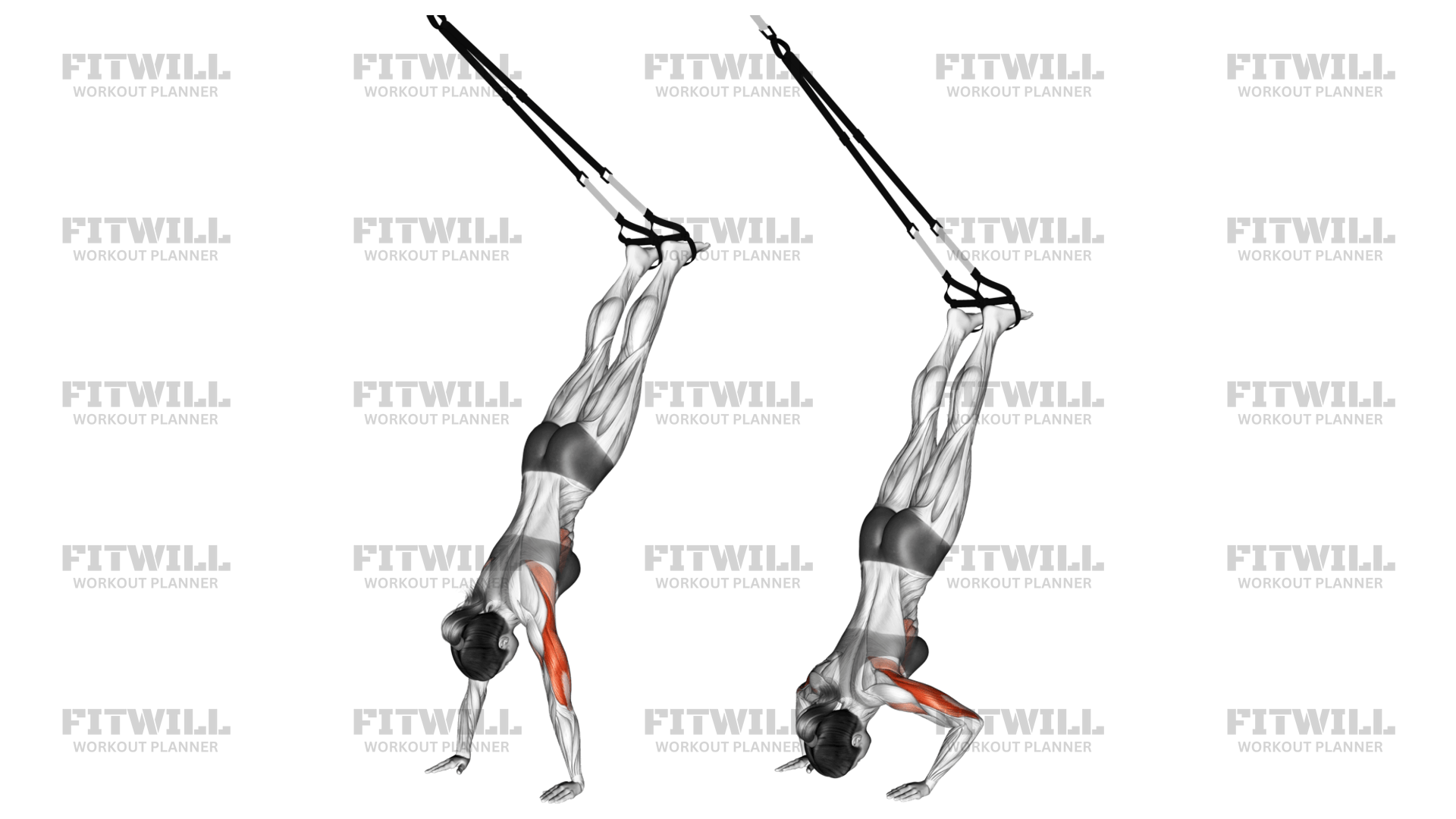 Suspension Handstand Push-up: Exercise Guide, Techniques, Benefits, How ...