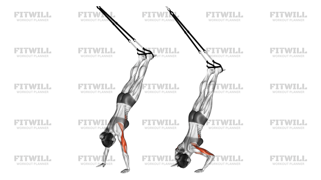 Suspension Handstand Push-up: Exercise Guide, Techniques, Benefits, How ...