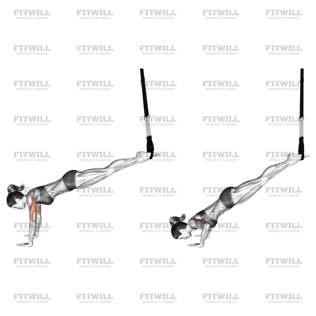 Flexión Inclinada Con Suspensión: Video de Ejercicio | Fitwill