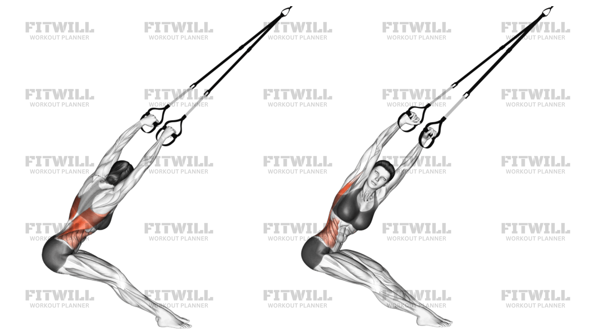 Suspension Lat Stretch: Exercise Guide, Techniques, Benefits, How to ...