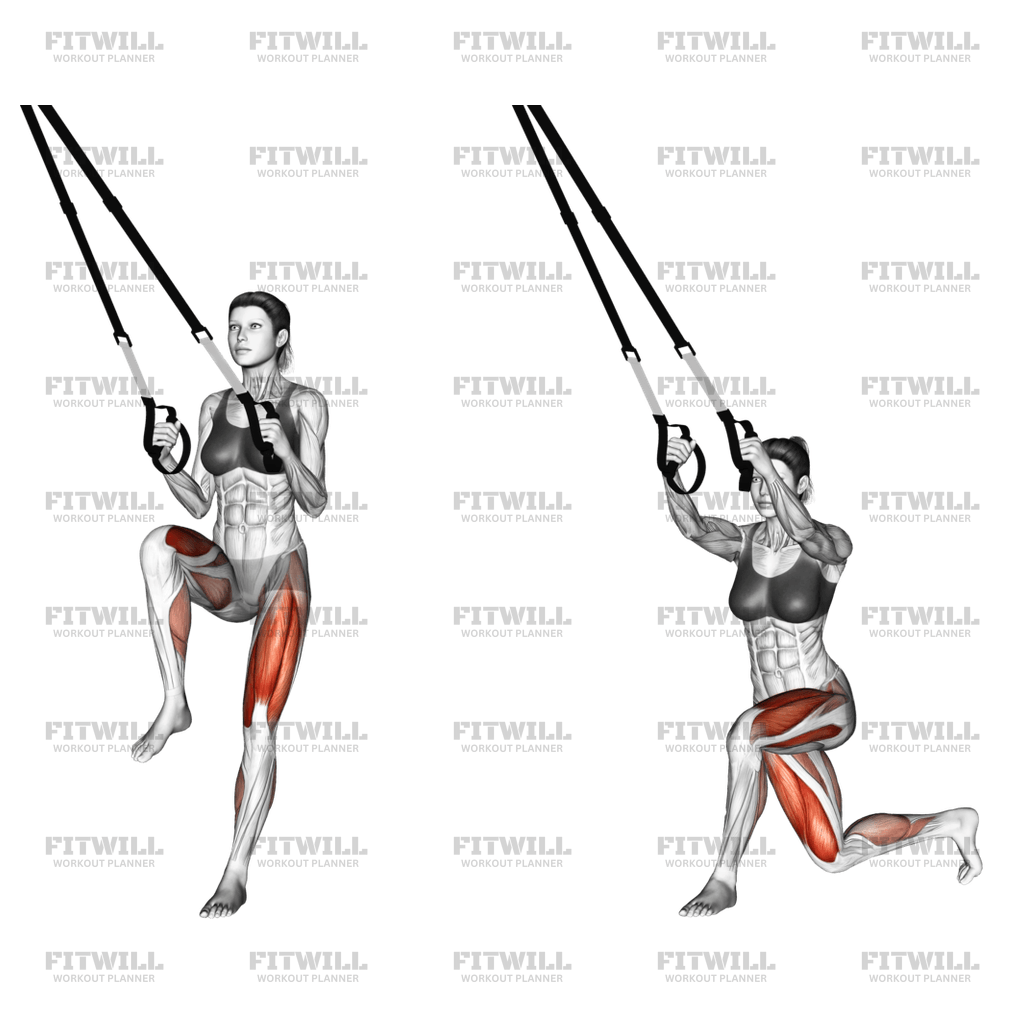 Suspension Lunge Back Crossover: Exercise Guide, Video, Techniques ...