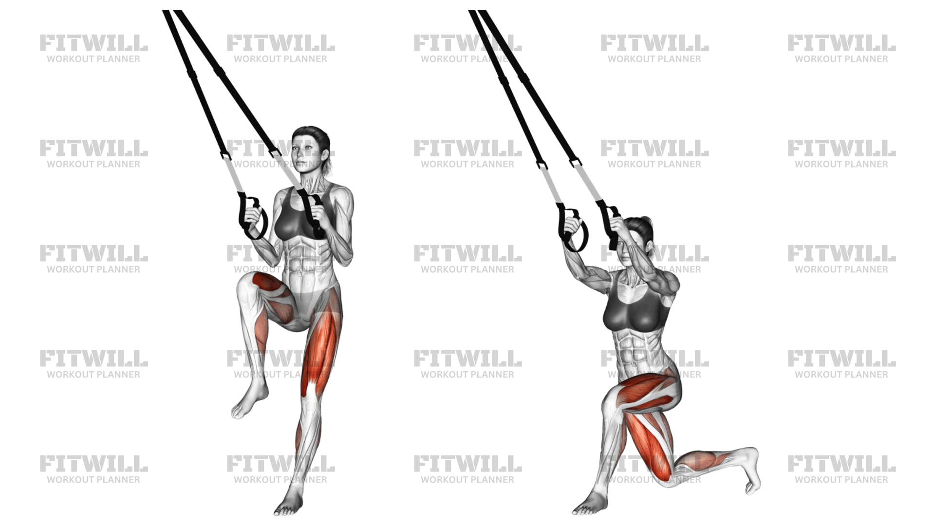 Suspension Lunge Back Crossover: Exercise Guide, Video, Techniques ...