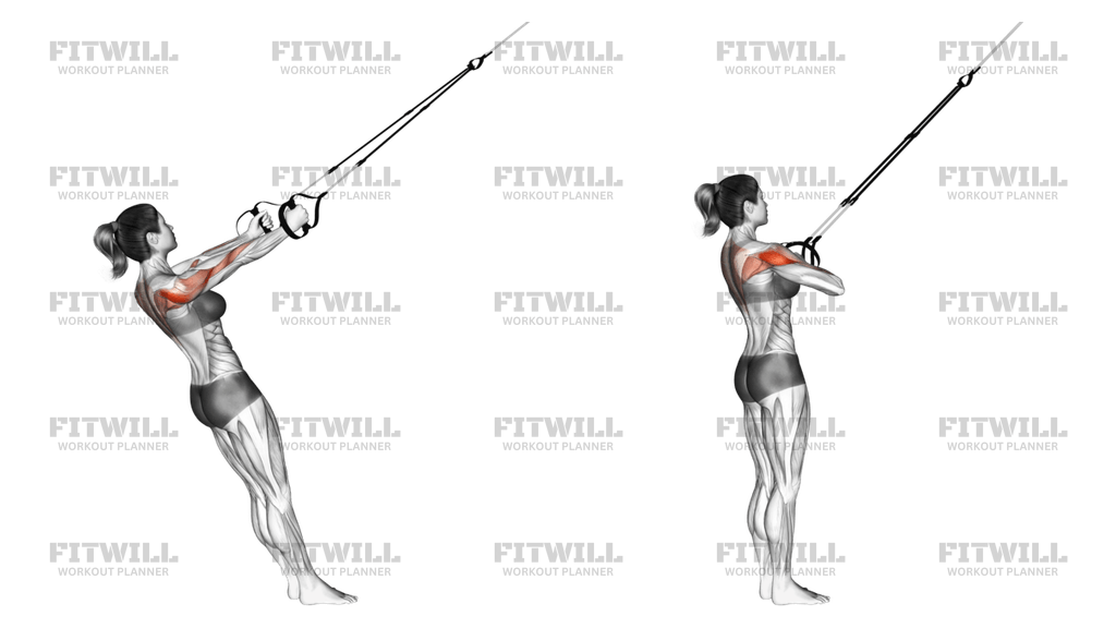 Suspension Middle Row: Exercise Guide, Techniques, Benefits, How to ...