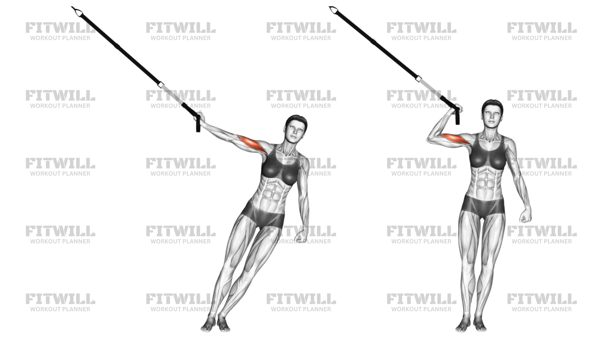 Suspension One-Arm Biceps Curl: Exercise Guide, Video, Techniques ...