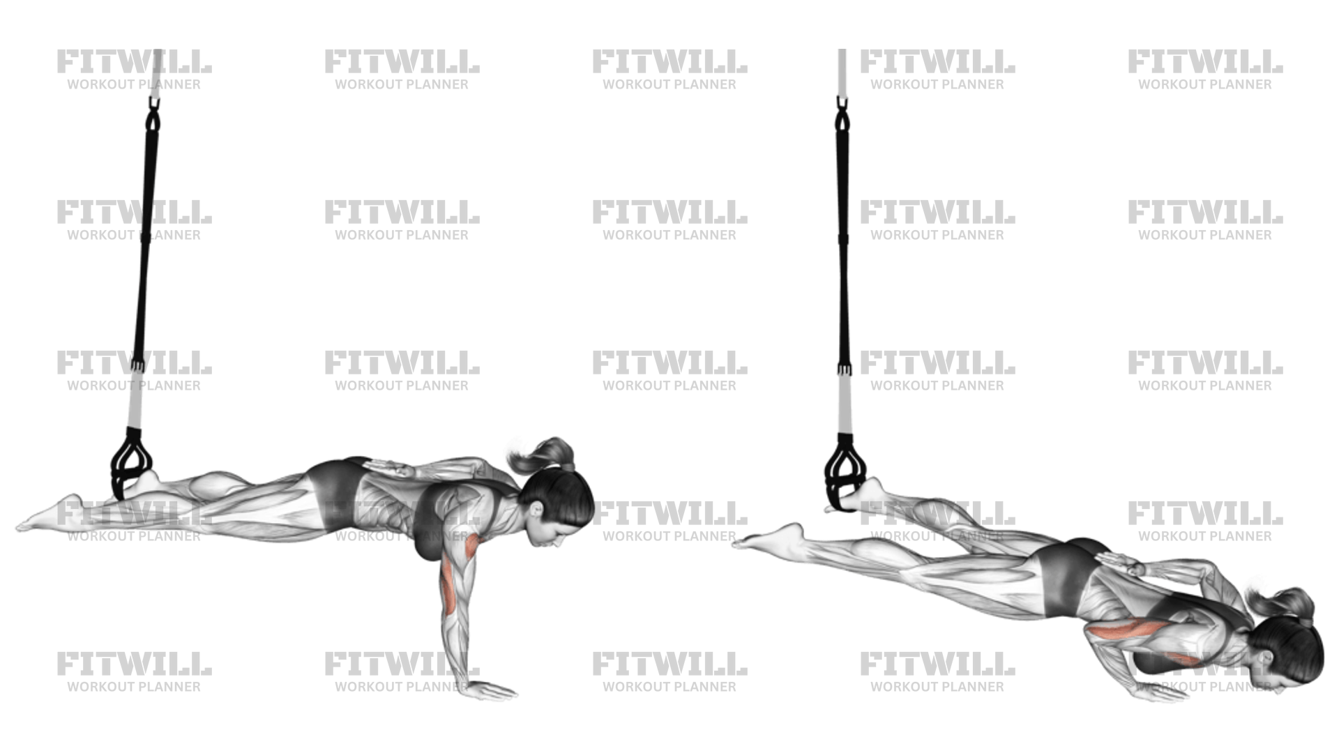 Flexión Con Suspensión Con Un Brazo Y Una Pierna: Guía de Ejercicios ...