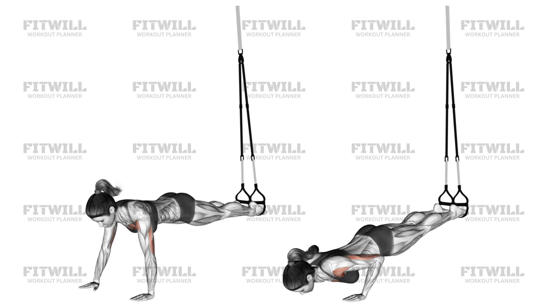 Suspension Push-up: Exercise Guide, Video, Techniques, Benefits, How to ...