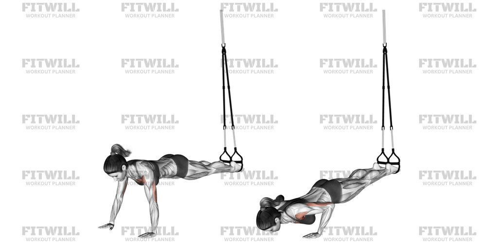 Suspension Push-up: Exercise Guide, Video, Techniques, Benefits, How to ...