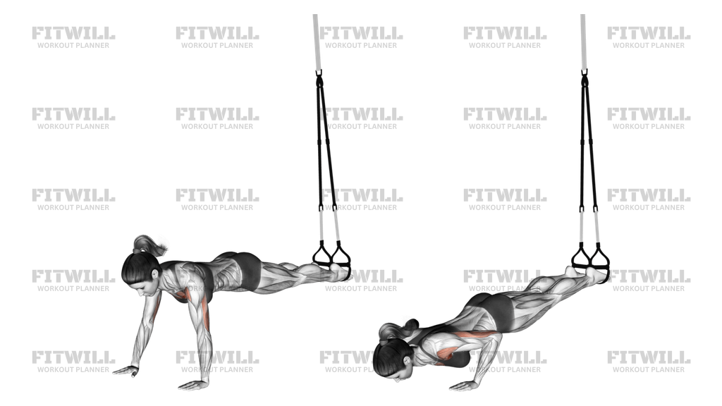 Suspension Push-Up: Exercise Guide, Video, Techniques, Benefits, How to ...