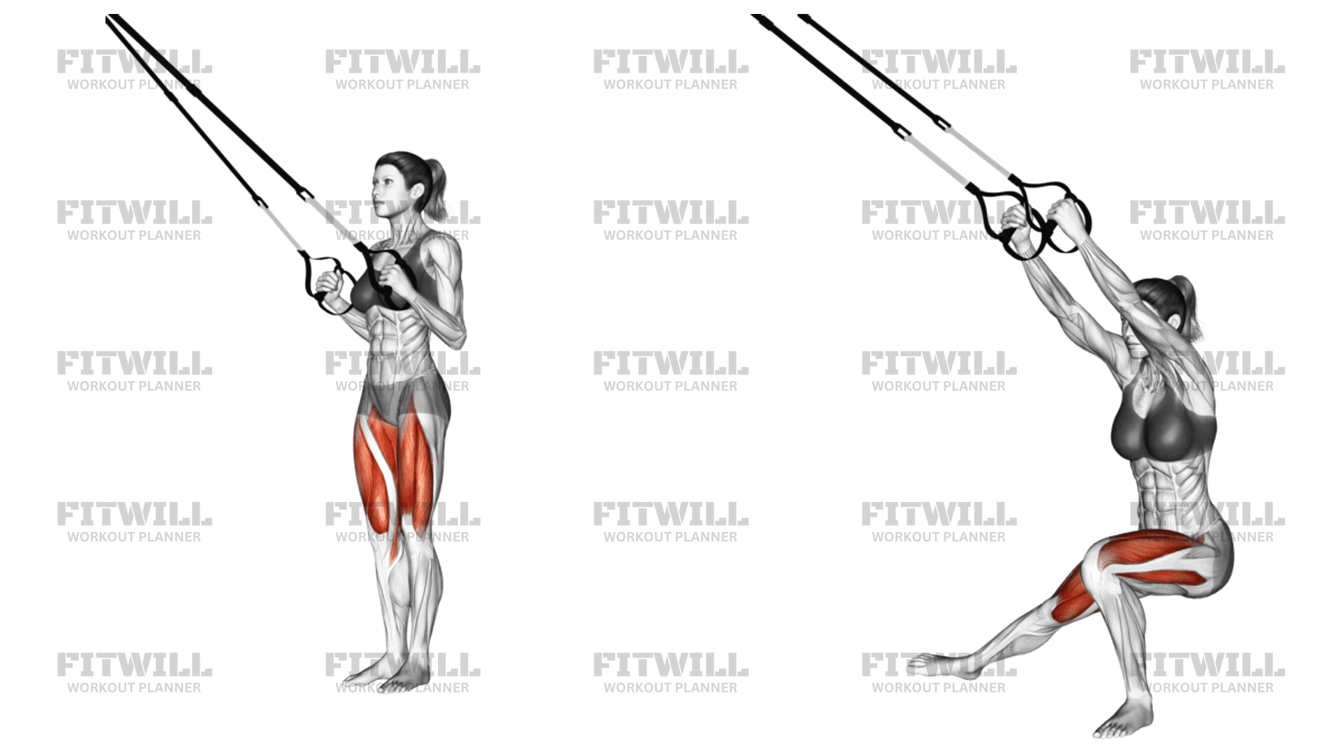 Suspension Side Lunge: Exercise Guide, Video, Techniques, Benefits, How ...