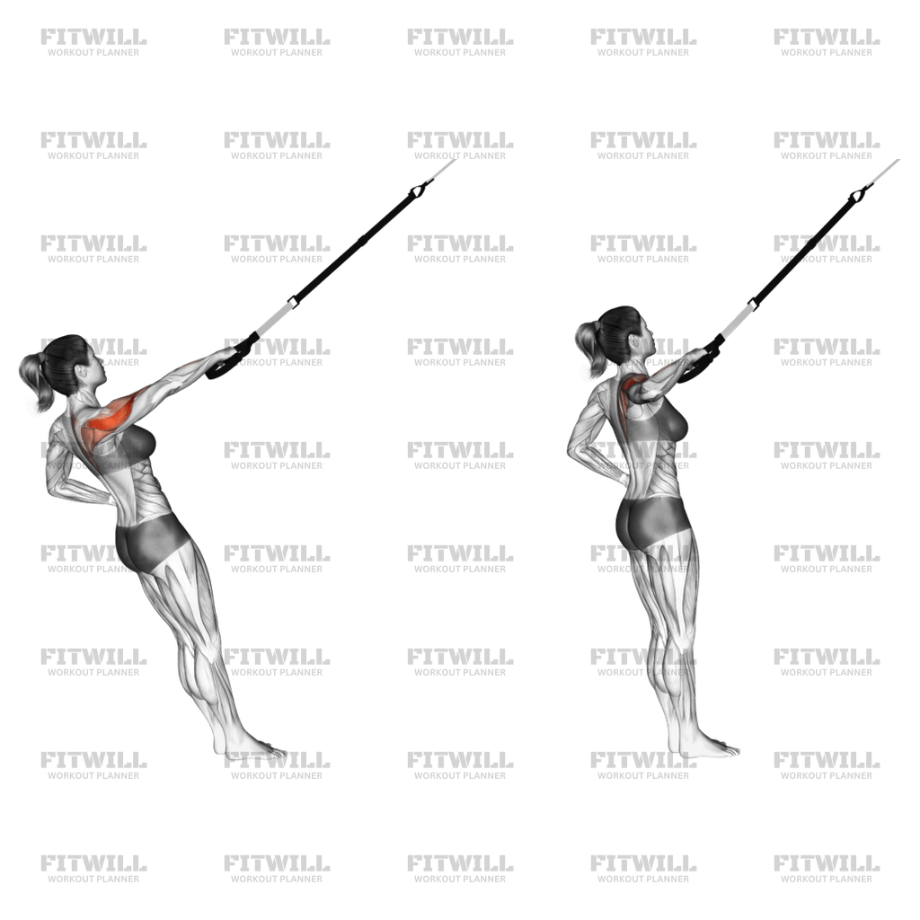 Suspension Single Arm Rear Delt Row: Exercise Guide, Video, Techniques ...