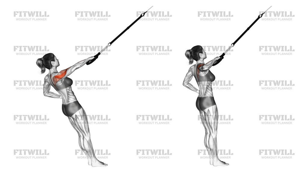 Suspension Single Arm Rear Delt Row: Exercise Guide, Video, Techniques ...