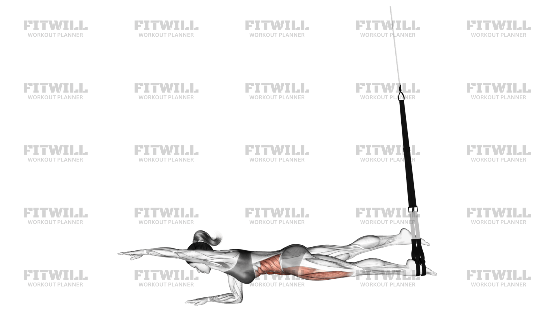 Suspension Single Leg Plank (straight arm): Guide, Techniques, Benefits ...