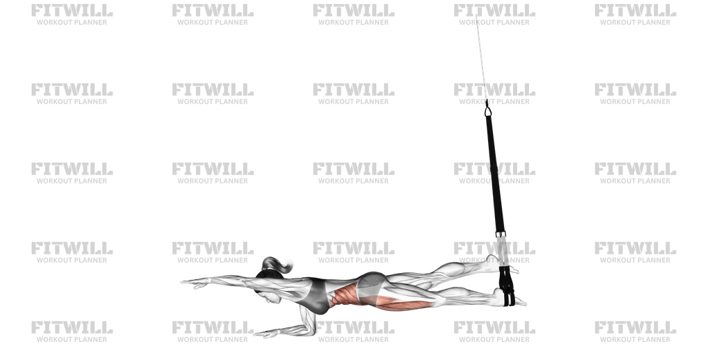 Plancha Con Una Pierna Y Brazos Extendidos En Suspensión: Video de Ejercicio | Fitwill