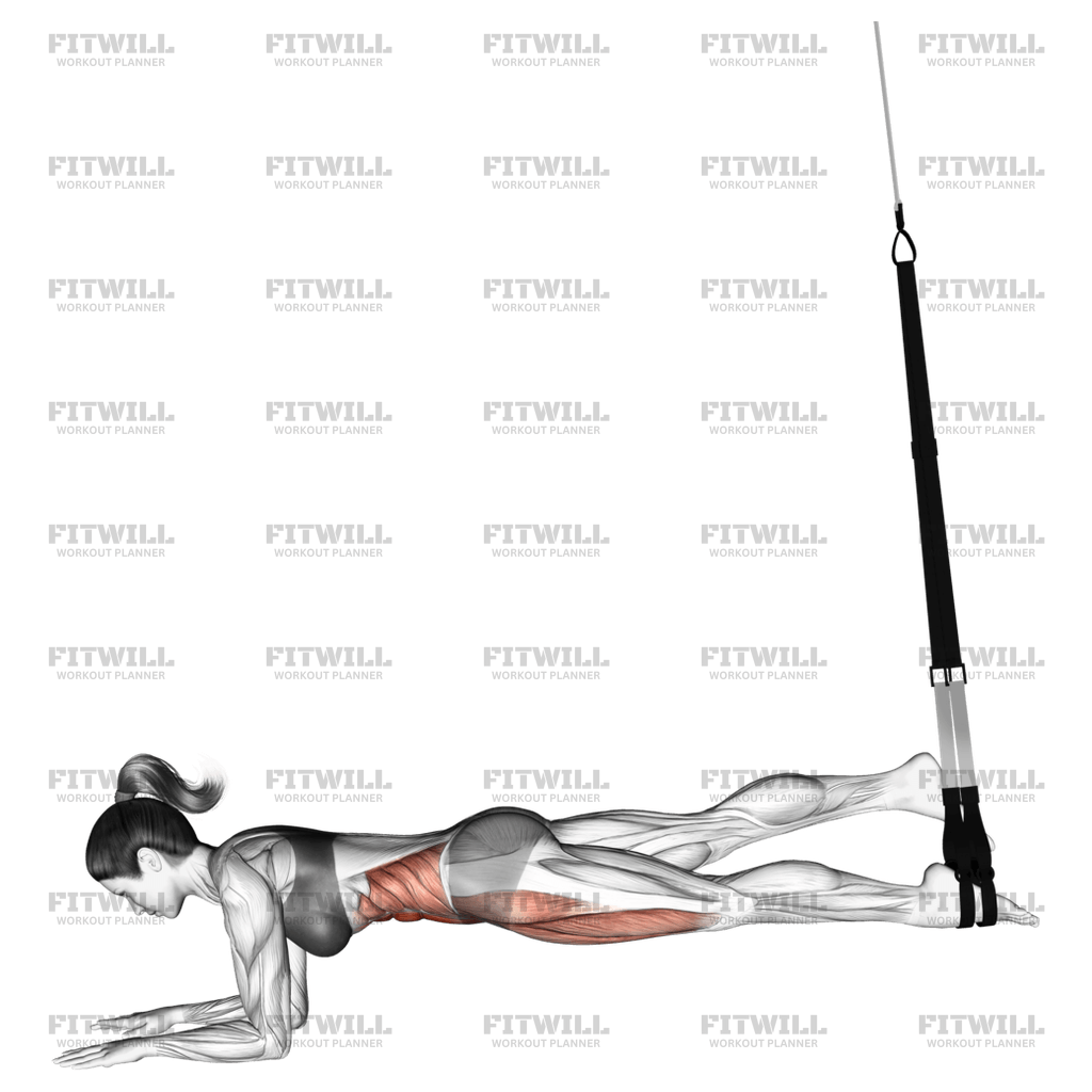 Suspension Single Leg Plank: Exercise Guide, Video, Techniques ...
