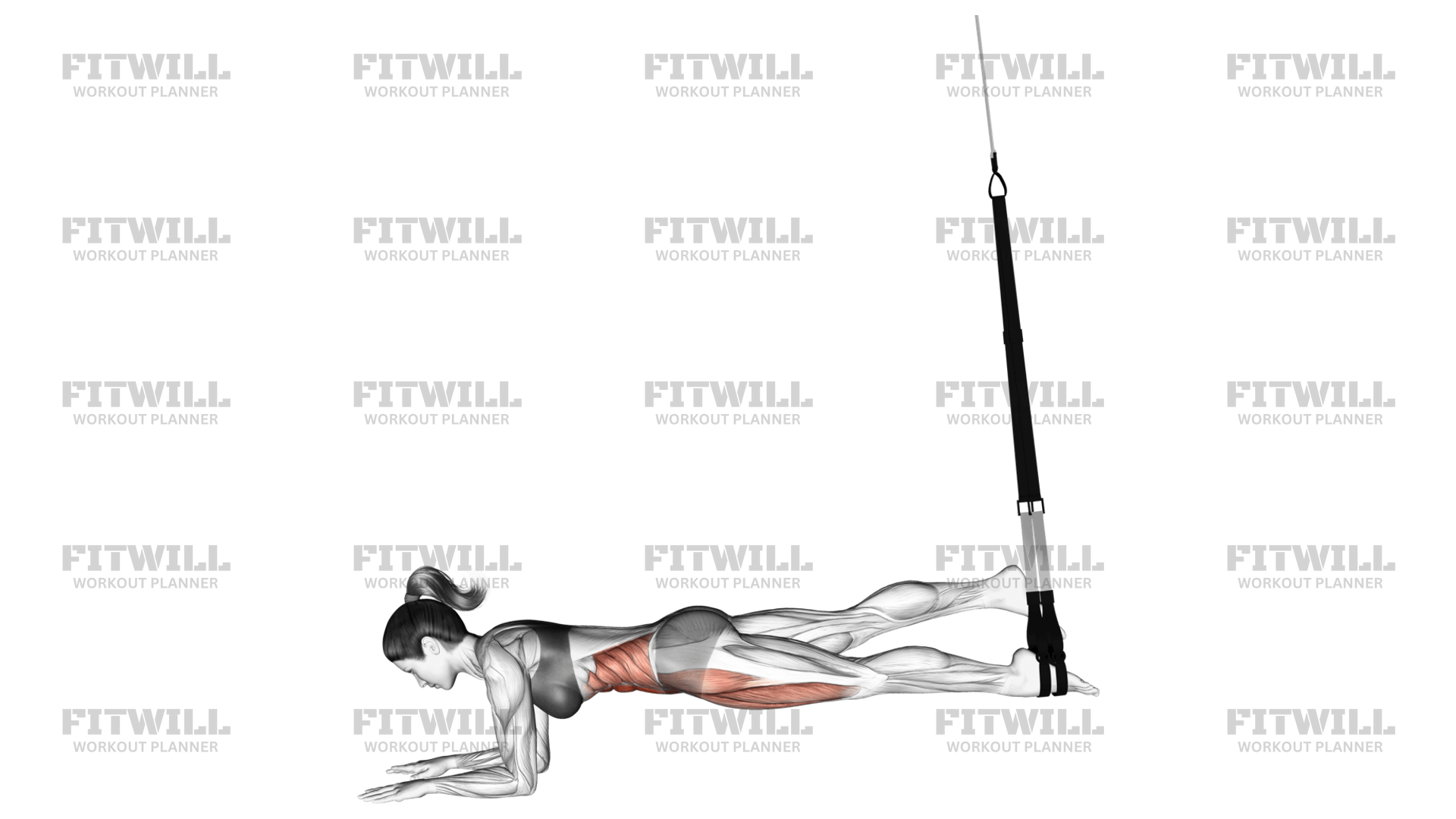 Suspension Single Leg Plank: Exercise Guide, Video, Techniques ...