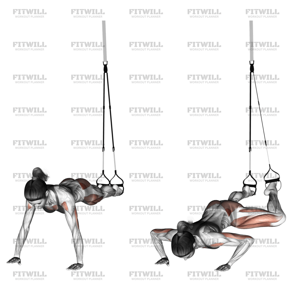 Suspension Spiderman Push-up: Exercise Guide, Video, Techniques ...