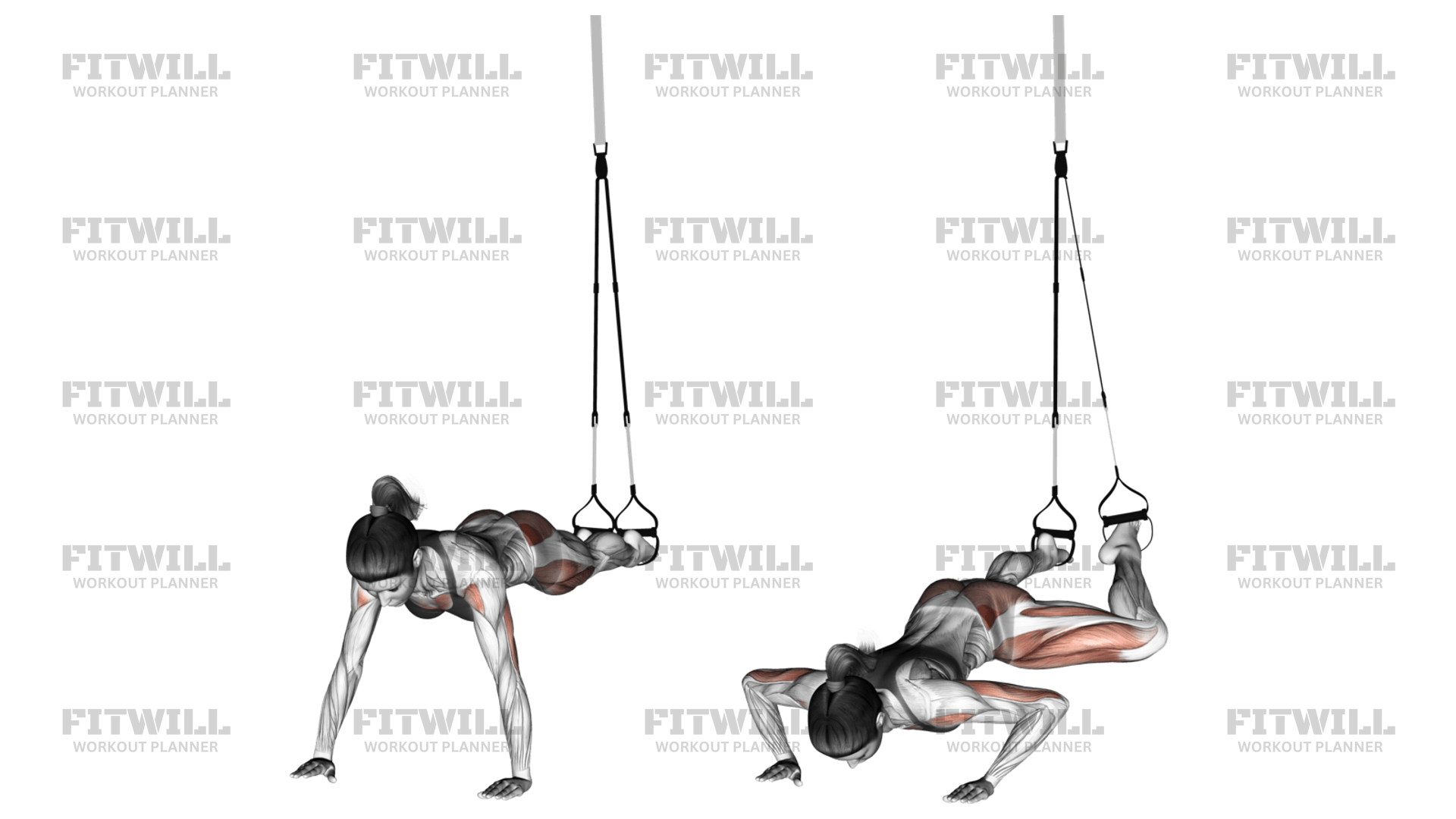 Suspension Spiderman Push-up: Exercise Guide, Video, Techniques ...
