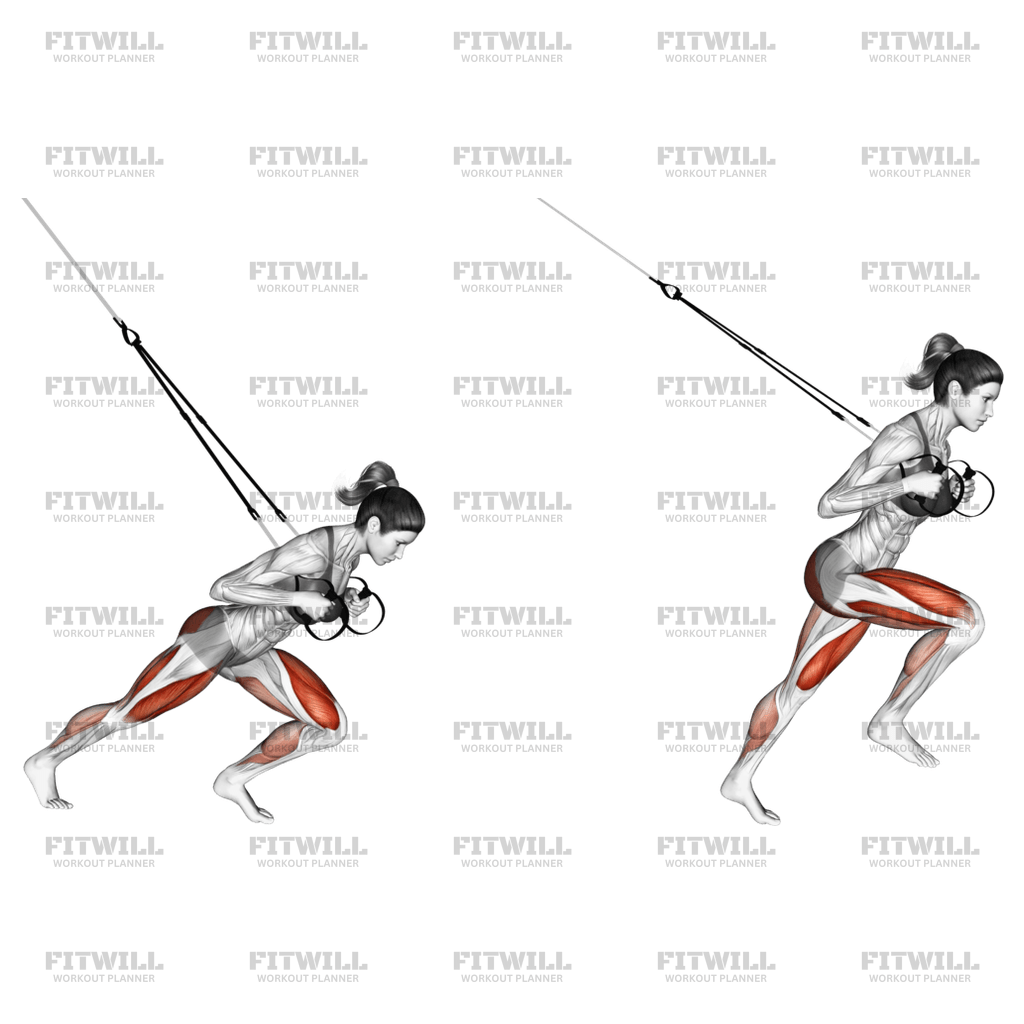 Suspension Sprinter: Exercise Guide, Video, Techniques, Benefits, How ...