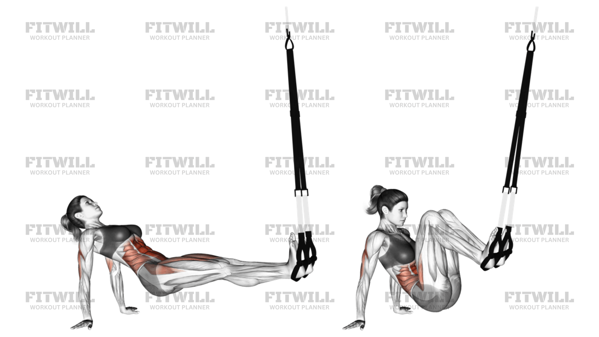 Suspension Supine Crunch: Exercise Guide, Video, Techniques, Benefits ...