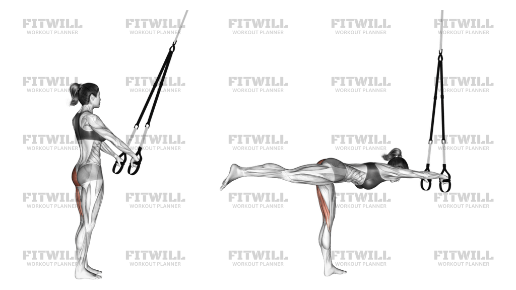 Suspension Single Leg Deadlift: Exercise Guide, Video, Techniques ...