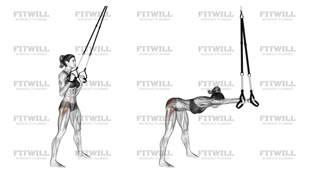 Suspension Hip Hinge Exercise Guide Techniques Benefits How To Muscles Worked Tips