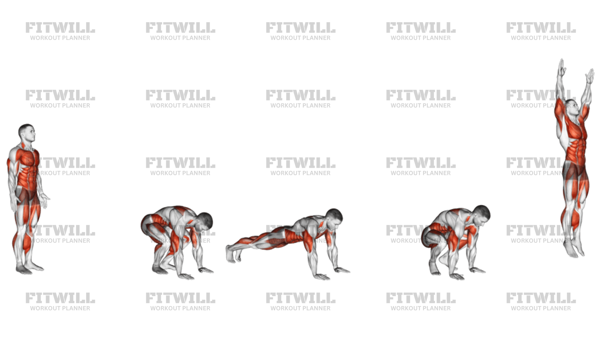 Burpee: Exercise Guide, Video, Techniques, Benefits, How to, Muscles Worked, Tips & Tricks | Fitwill