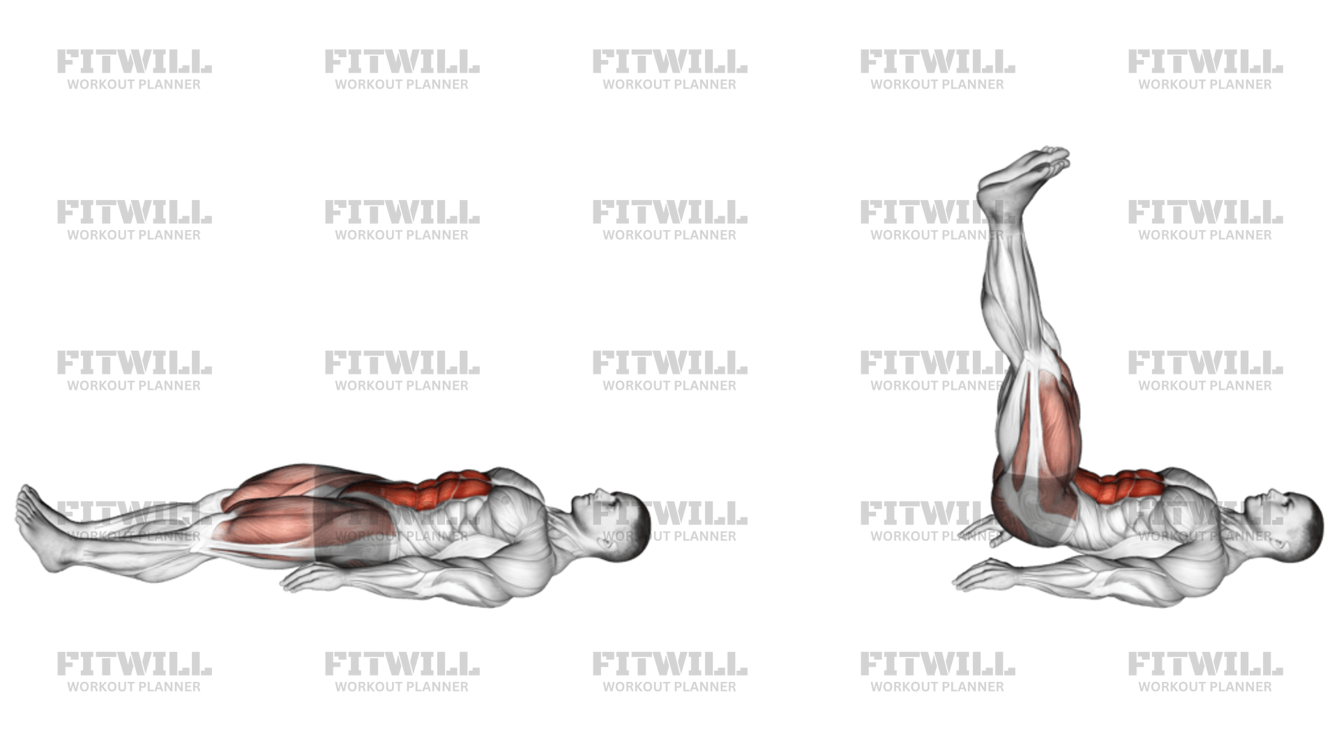 Lying Leg Raise: Exercise Guide, Video, Techniques, Benefits, How to ...