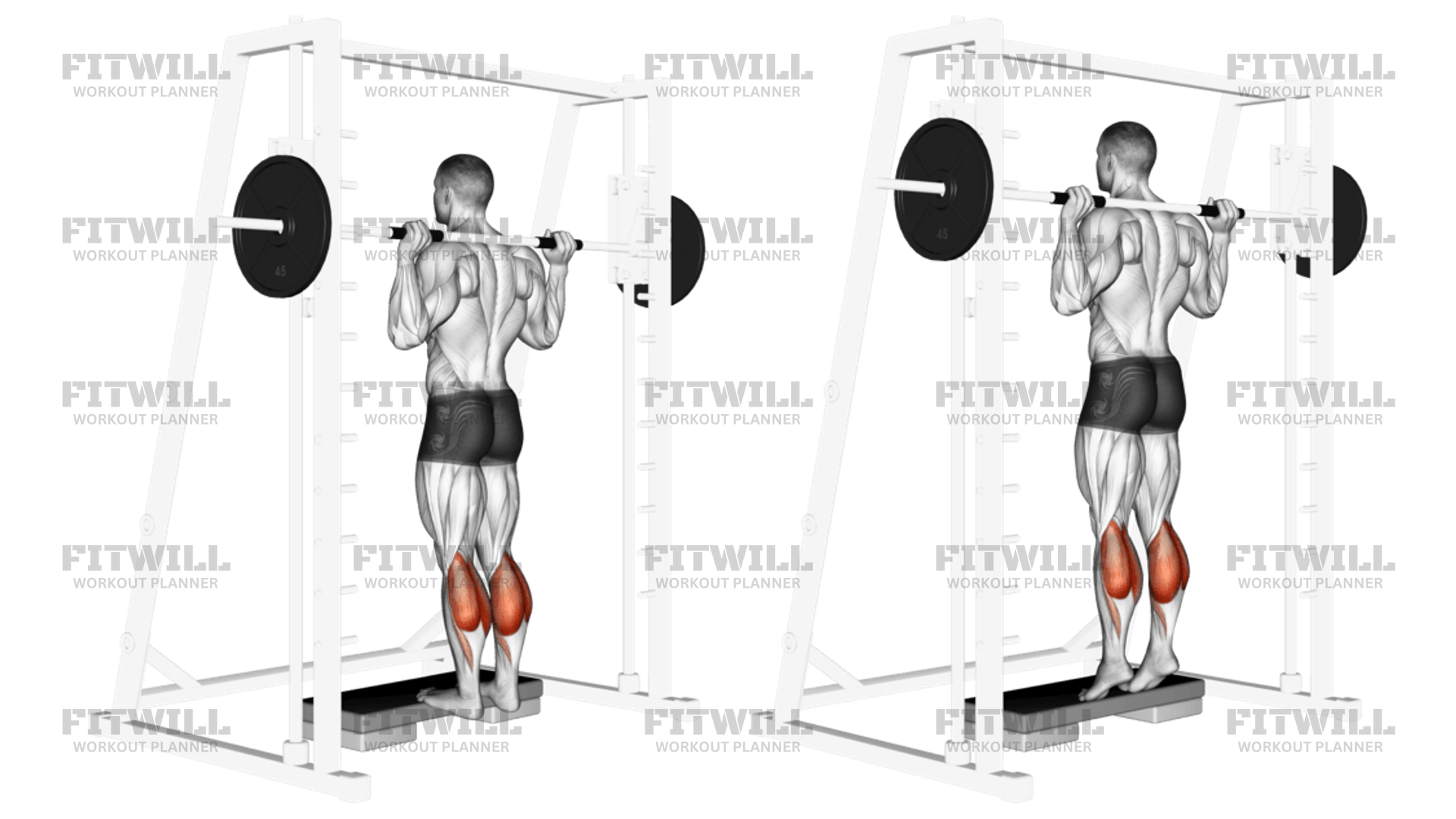 Smith Calf Raise On Step: Exercise Guide, Video, Techniques, Benefits ...