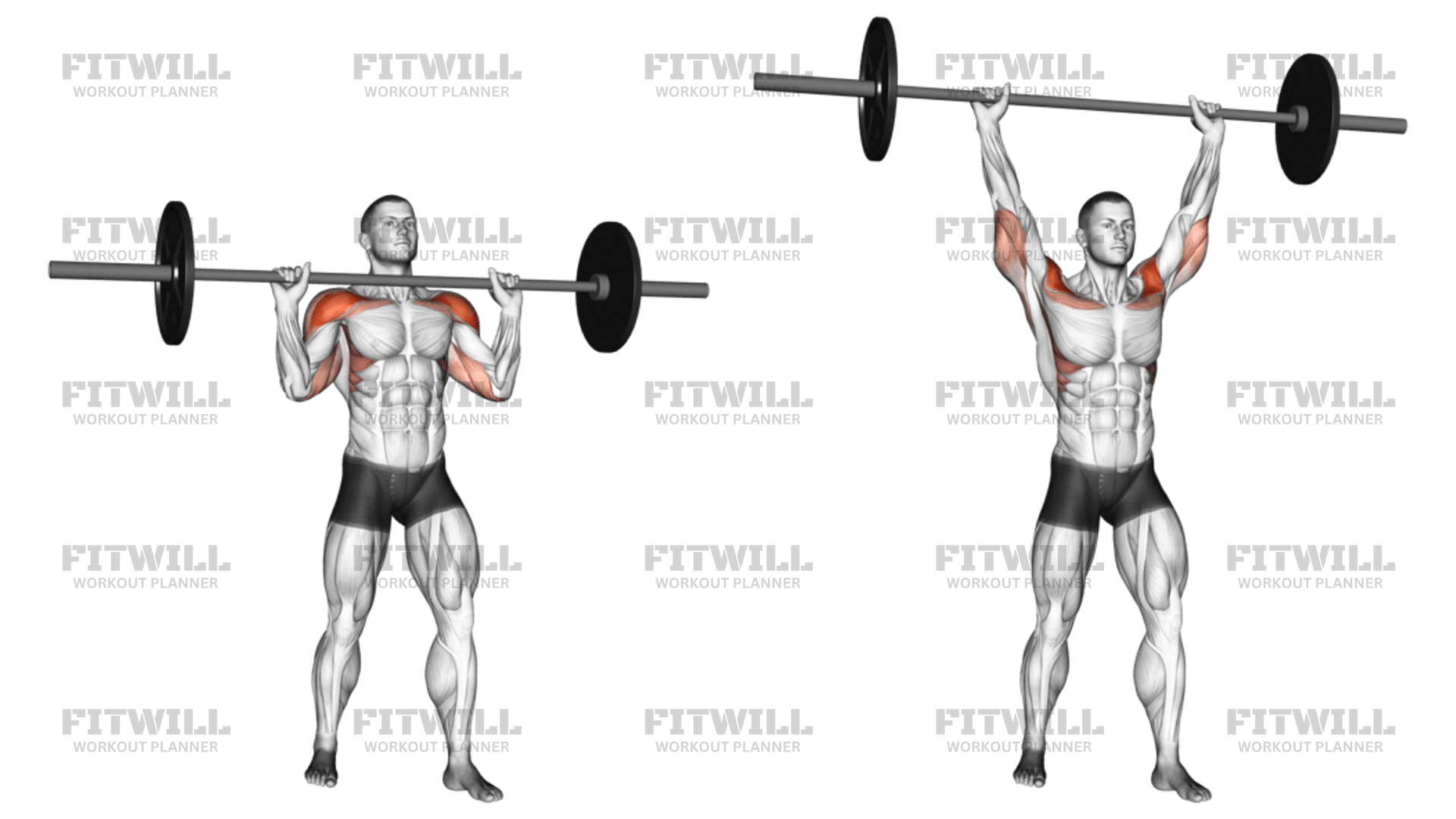 Barbell Standing Military Press (without Rack): Exercise Guide, Video ...