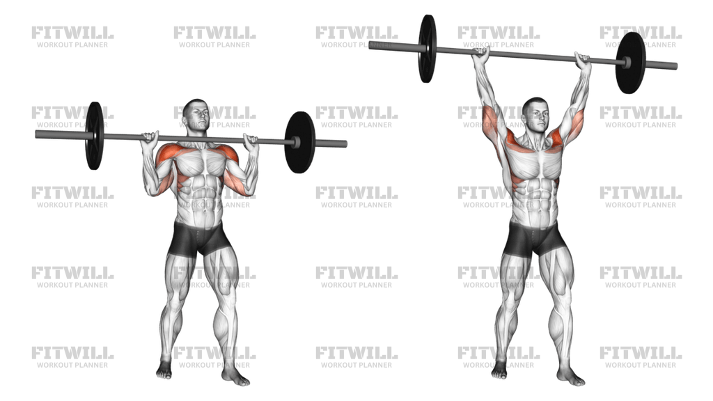 Desenvolvimento Militar Em Pé Com Barra (sem Suporte): Guia de ...