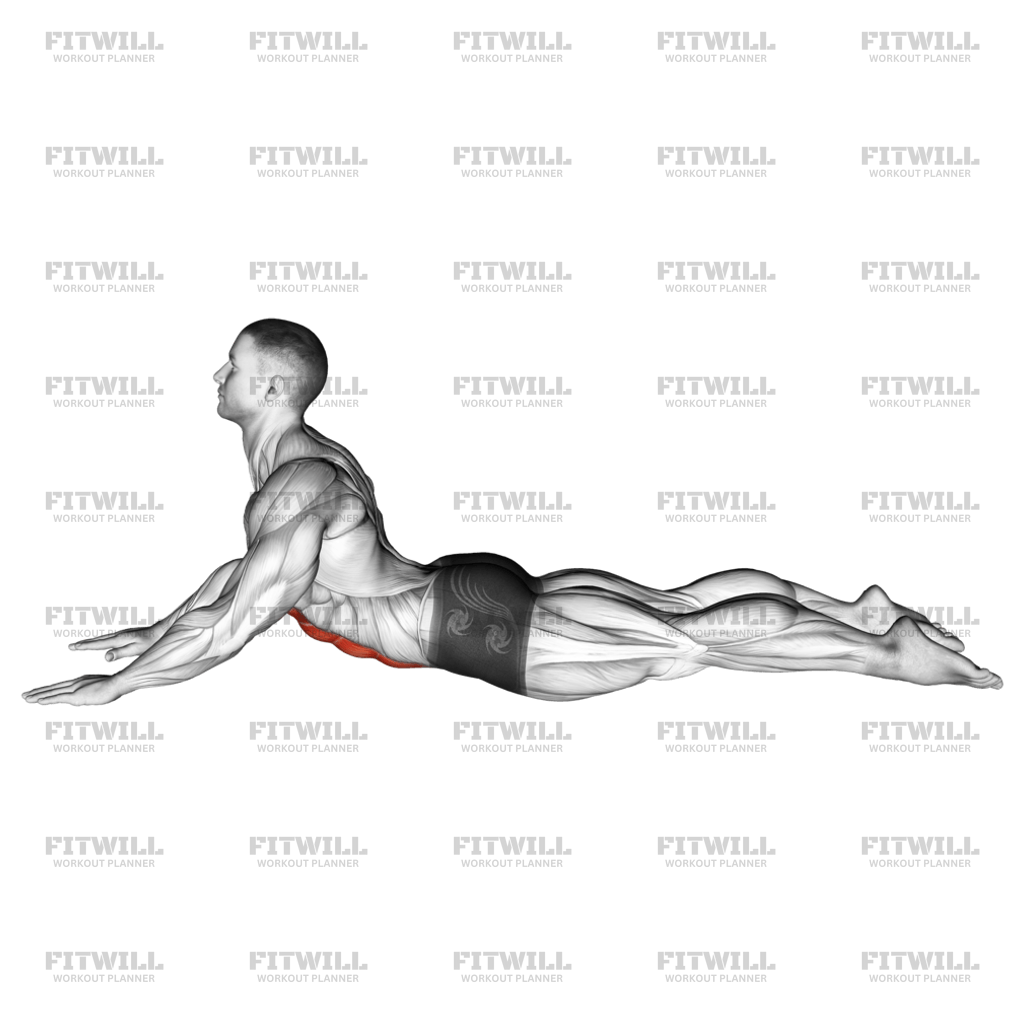Lying Abdominal Stretch Exercise Guide Video Techniques Benefits