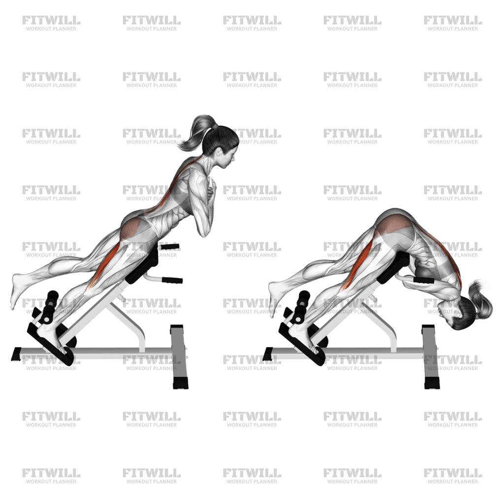 Roman Chair 45 Degree One Leg Hyperextension (arms In Front Of Chest ...