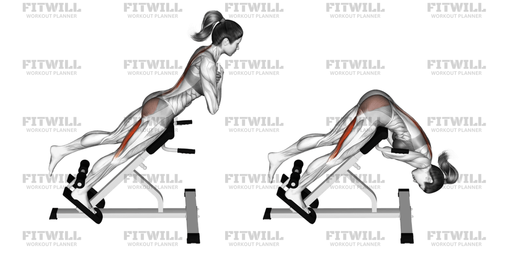 Roman Chair 45 Degree One Leg Hyperextension (arms In Front Of Chest ...