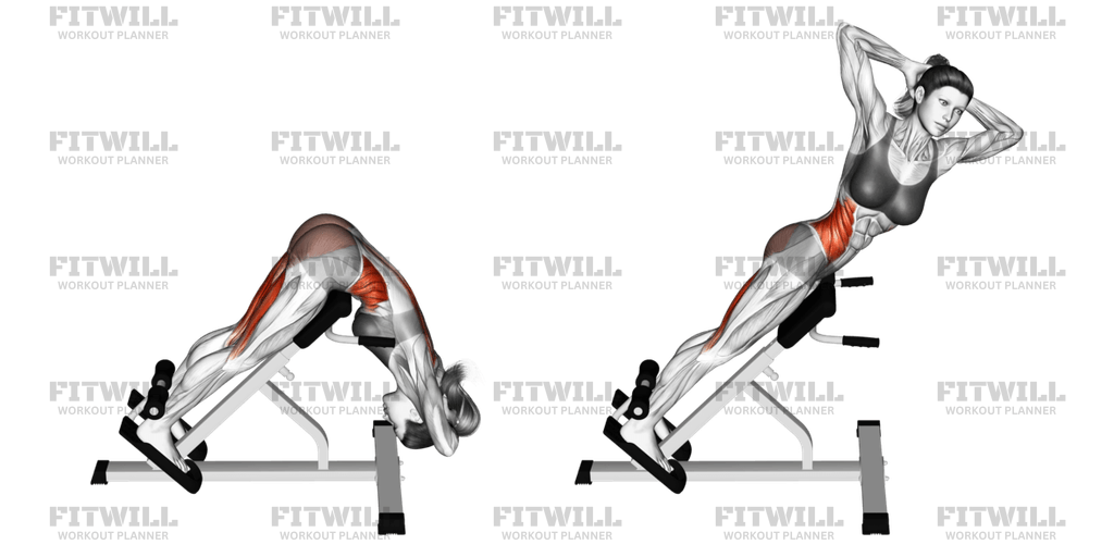 Roman Chair 45 Degree Twisting Hyperextension: Exercise Guide, Video ...