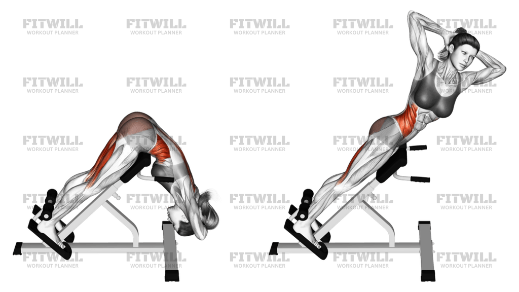 Roman Chair 45 Degree Twisting Hyperextension: Exercise Guide, Video ...