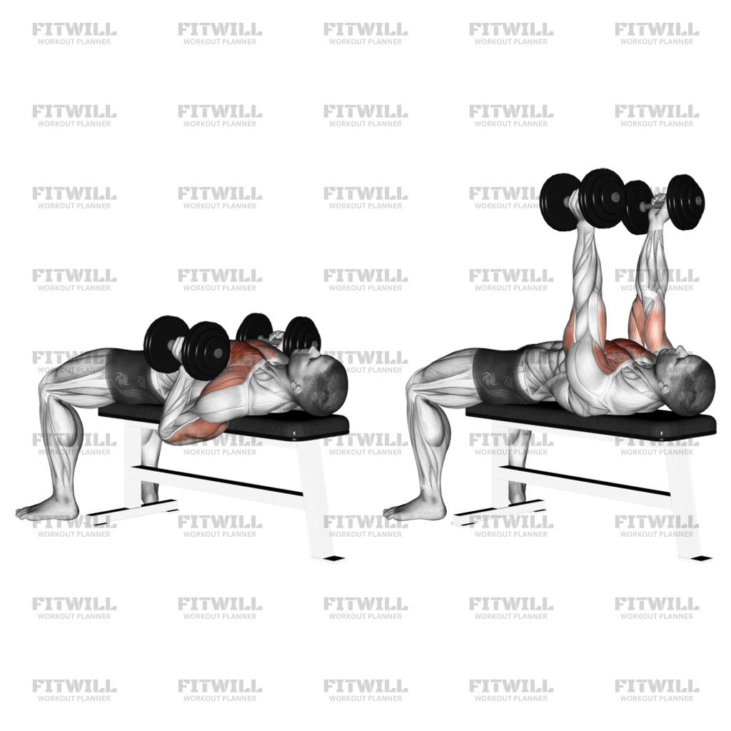 Dumbbell Lying Hammer Press: Exercise Guide, Video, Techniques ...