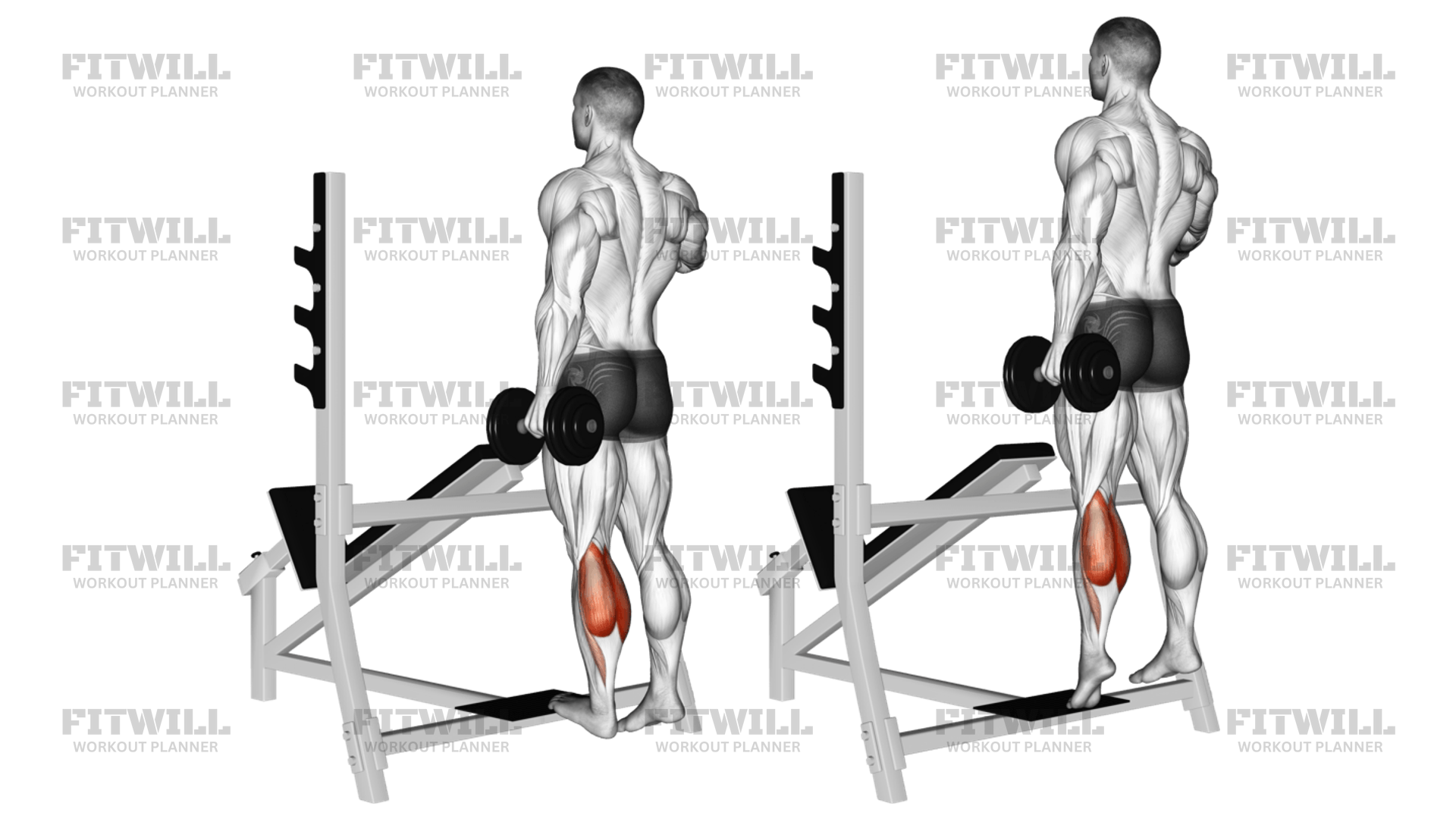 Dumbbell Standing Single Leg Calf Raise: Exercise Guide, Techniques ...