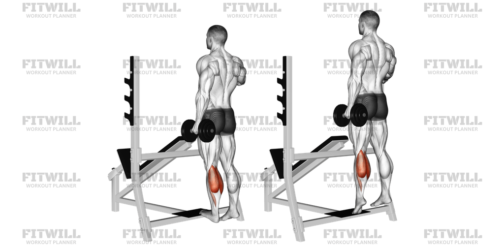 Dumbbell Standing Single Leg Calf Raise: Exercise Guide, Techniques ...