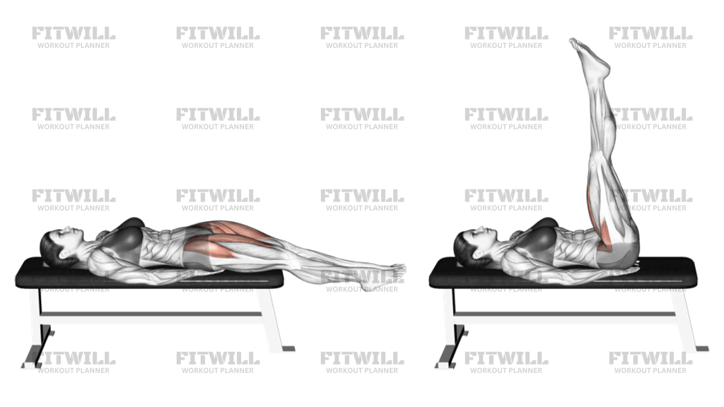 Lying Straight Leg Raise (version 2): Exercise Guide, Techniques ...