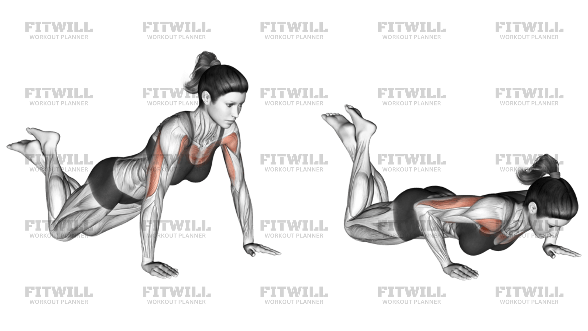 Push-up (on Knees): Exercise Guide, Video, Techniques, Benefits, How to ...